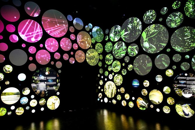 Museum of Tomorrow Guided Tour, Admission & Transfer - Inclusions and Logistics