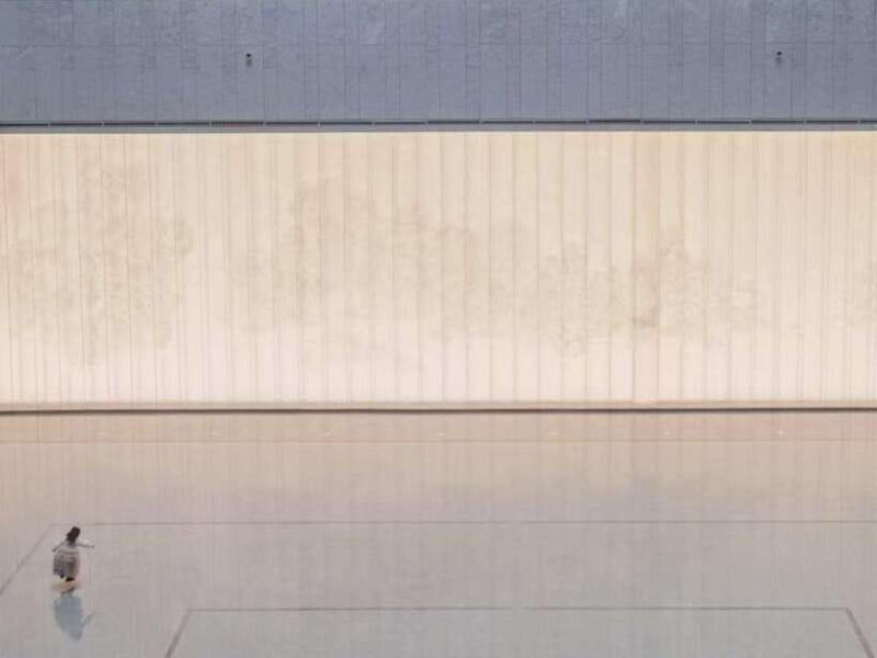 Museum Trip: Shanghai Museum/Shanghai History Museum - Who Should Consider This Tour?