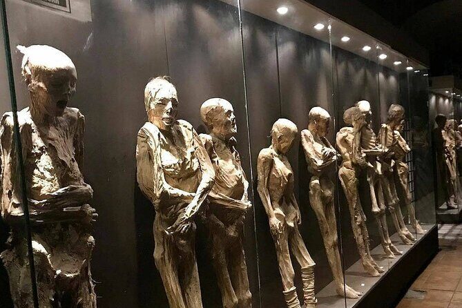 Museums and Mines of Guanajuato Private Tour - Discovering Guanajuato’s Cultural Treasures