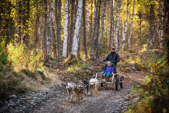 Mush Your Own Sled Dog Team (Summer/Fall Tour) - Who Should Consider This Tour?