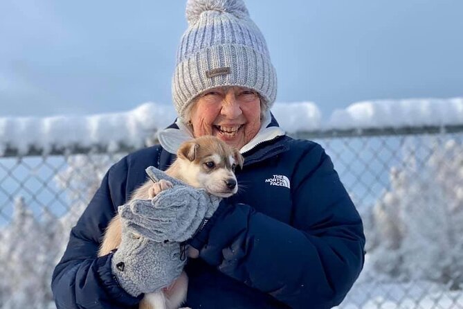 Mush Your Own Sled Dog Team (Winter Tour) in Talkeetna, Alaska - Customer Feedback and Ratings