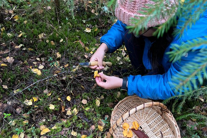 Mushroom Hunting in a National Park - Campfire Cooking Demonstration