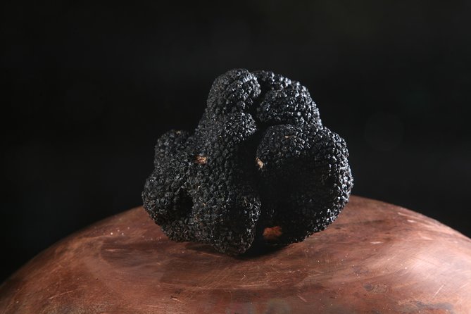 Mushroom or Truffle Hunting - In The Sum Up