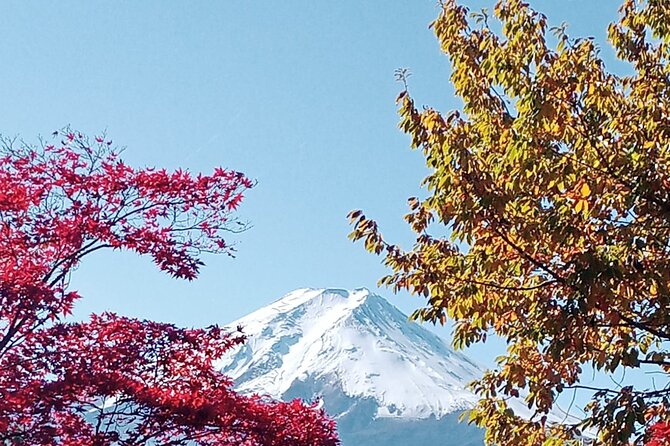 Muslim Friendly Mount Fuji Tour With English Speaking Chauffeur - Reviews