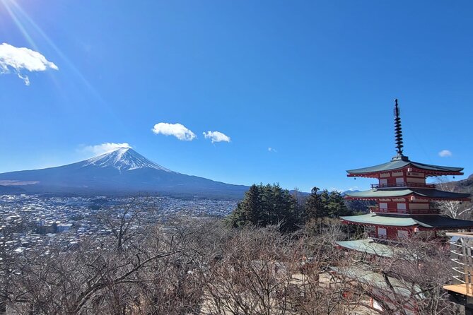 Muslim Friendly Mount Fuji Tour With English Speaking Chauffeur - Common Questions