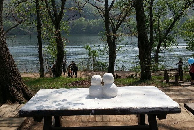 Muslim Tour (Nami Island + Petite France) - Who Will Enjoy This Tour?