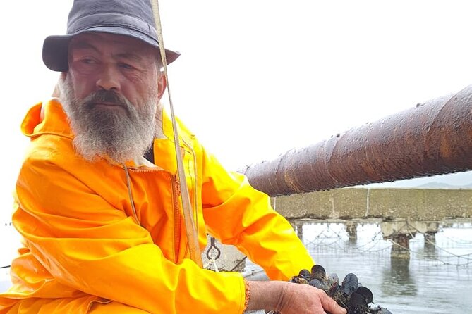 Mussel Sailing Tour Review: A Culinary Adventure - Understanding Health and Accessibility