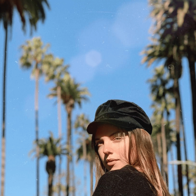 Must Have L.A. Pictures! - What Sets This Tour Apart?