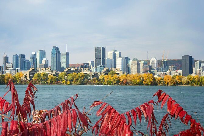 Must See Montreal Walking Tour With A Local Host - Montreal’s Food Scene and Local Flavors