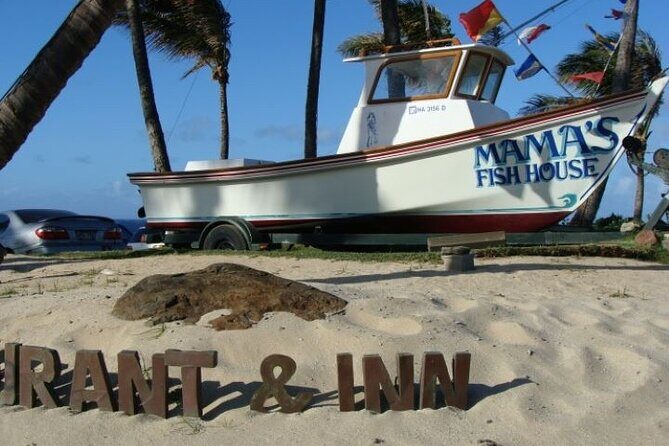 'Must-See Places & Things' for 'First Time' on Maui, Hawaii ... - What Our Reviewers Say
