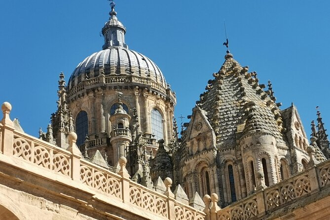 Must See Salamanca Walking Tour (Could Be Billingual) - Insights Into the University of Salamancas Rich History
