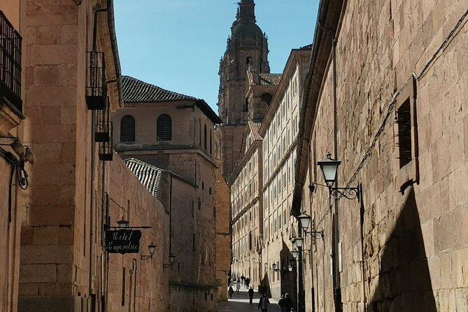 Must See Salamanca Walking Tour (Could Be Billingual) - Bilingual Tour Options: English, Spanish, German, and Dutch