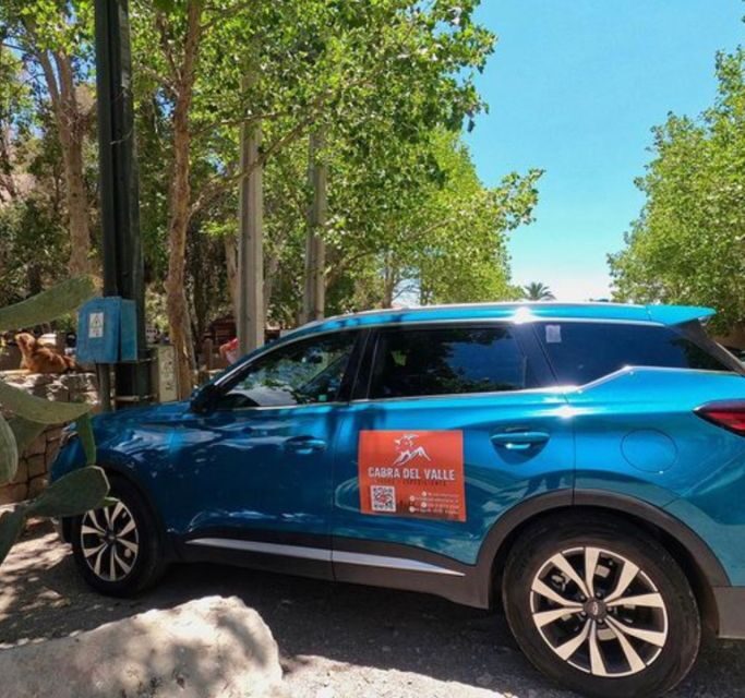 Must-sees of the Elqui Valley - A Deep Dive into the Elqui Valley Tour