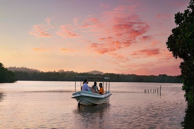 Muthurajawela Bird Watching Day Tour from Colombo or Negombo - Key Points