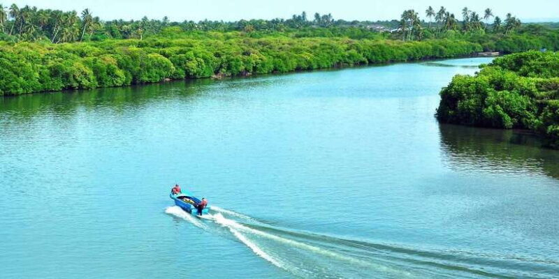 Muthurajawela Bird Watching Tour from Negombo and Colombo - How the Tour Begins: From Your Hotel to the Wetlands