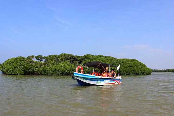 Muthurajawela Bird Watching Tour from Negombo / Colombo - Key Points