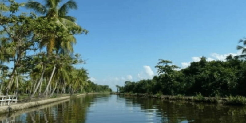 Muthurajawela Wetland: Birdwatching Expedition by Boat - Key Points