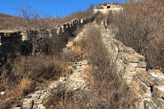 Mutianyu Great Wall Private Transfer With Option - Who Should Consider This Tour?