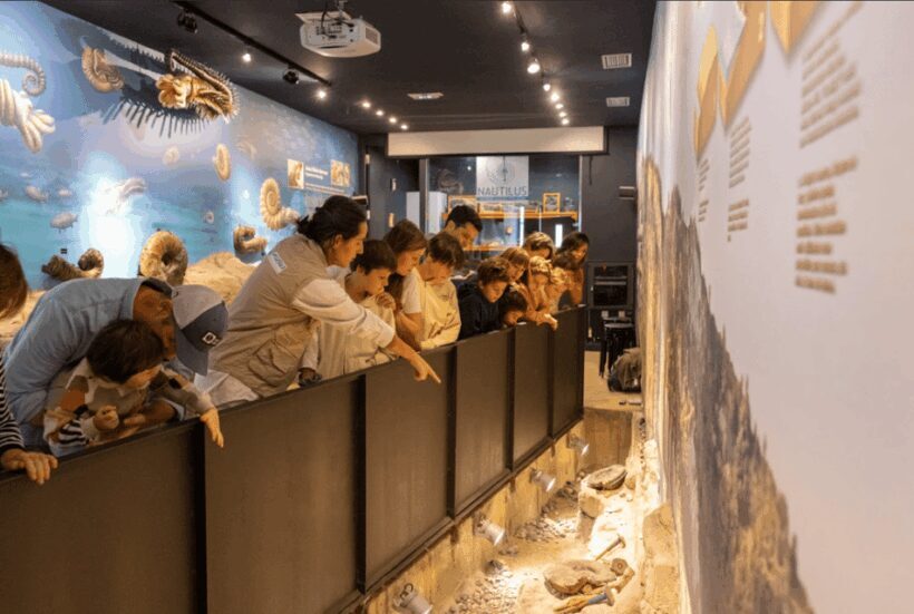 Mutriku: Nautilus Flysch Fossils Experience - Who Will Appreciate This Tour?