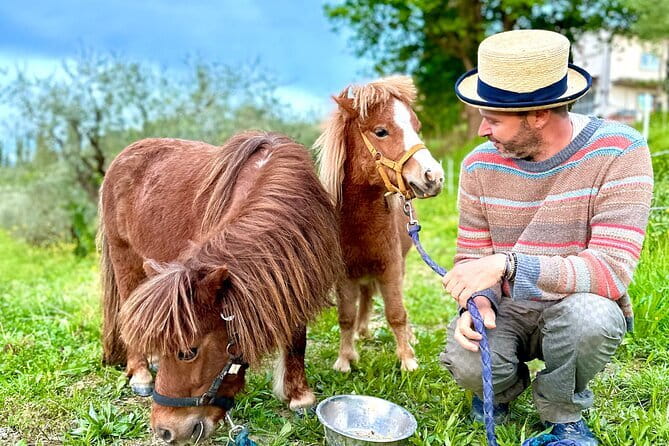 My Farm - three experiences in one day - FAQs