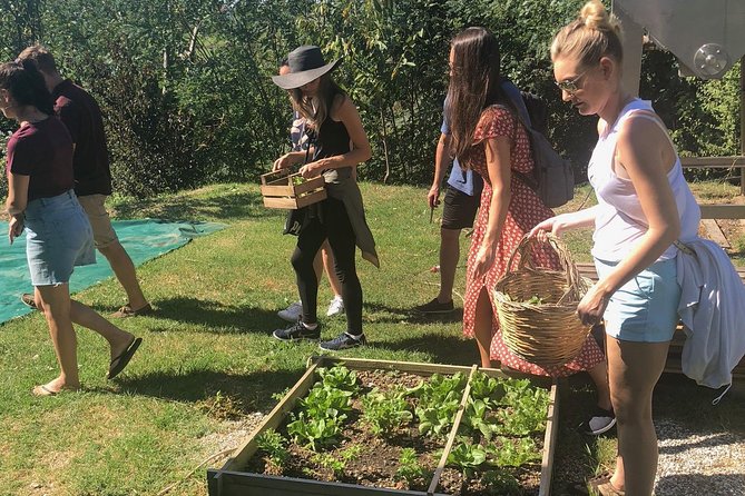 My Farm - Three Experiences in One Day - Key Points