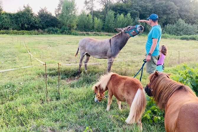 My Farm - Three Experiences in One Day - Traveler Feedback and Recommendations