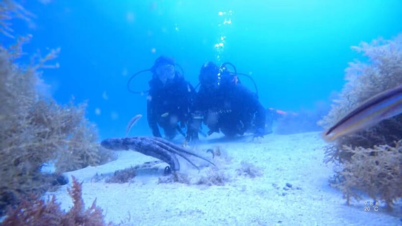 My first scuba dive in the Ocean from Madeira - A Closer Look at the Experience