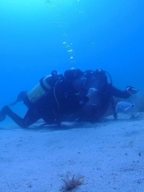 My first scuba dive in the Ocean from Madeira - Final Thoughts