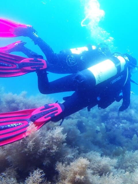 My first scuba dive into the Ocean from Sao Miguel - The Practicalities: What’s Included and What You Need to Know