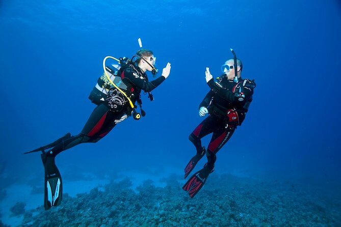 My first scuba experience in the Ocean - My First Scuba Experience in the Ocean: A Full Review