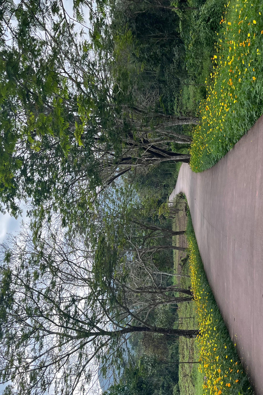 My Son sanctuary and Marble mountain tours and transfer - FAQs