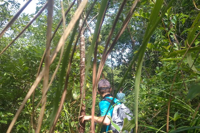 My Son sanctuary and mountain trekking - The Sum Up