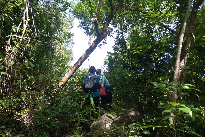 My Son sanctuary and mountain trekking - FAQ