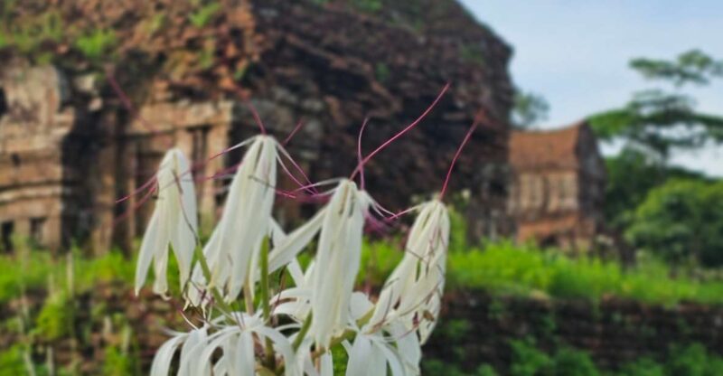 My Son Sanctuary Morning/Afternoon with Boat Trip and Banhmi - FAQs