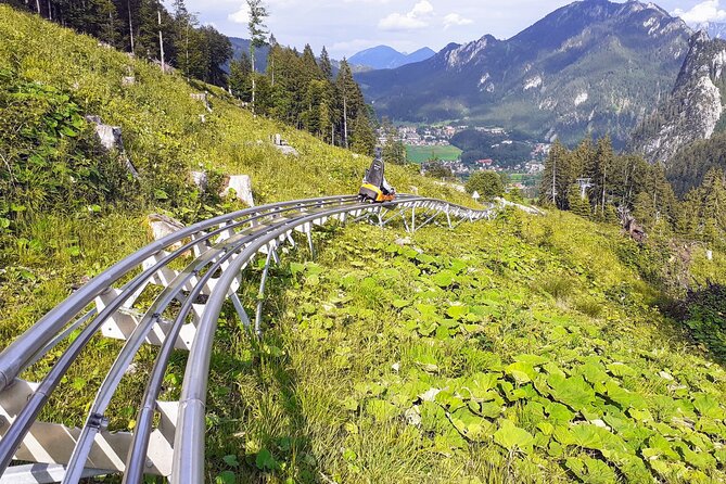 My*Guide EXCLUSIVE Neuschwanstein Castle Tour INCL. Tickets and ALPINE COASTER From Munich - Customer Reviews and Feedback