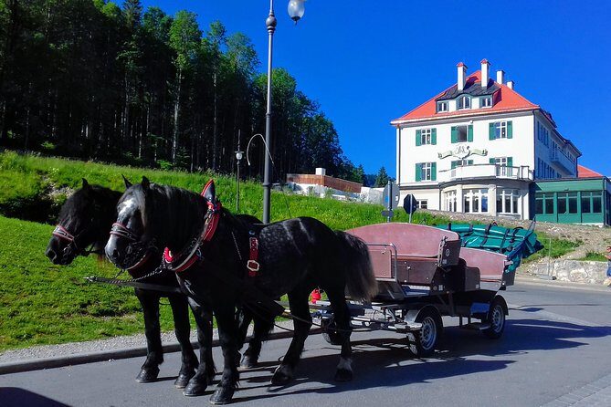 MY*GUiDE The King's GREATEST PALACES Neuschwanstein & HERRENCHIEMSEE from Munich - FAQs