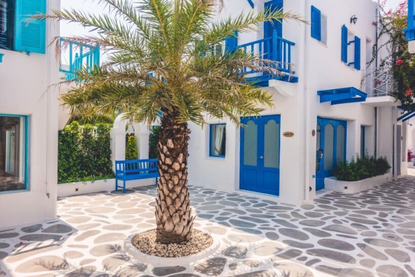 Mykonos Delight: A Perfect Day Trip from Your Cruise Ship - The Practical Side: What You Need to Know