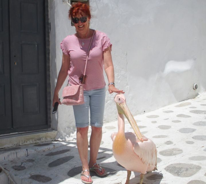 Mykonos: Guided Highlights Tour - An Honest Look at What to Expect
