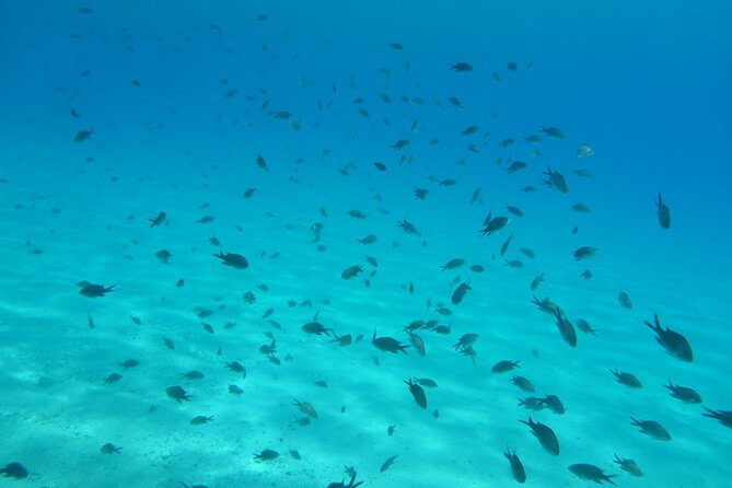 Mykonos Half-Day Hiking Adventure - Discovering Merchia Beach