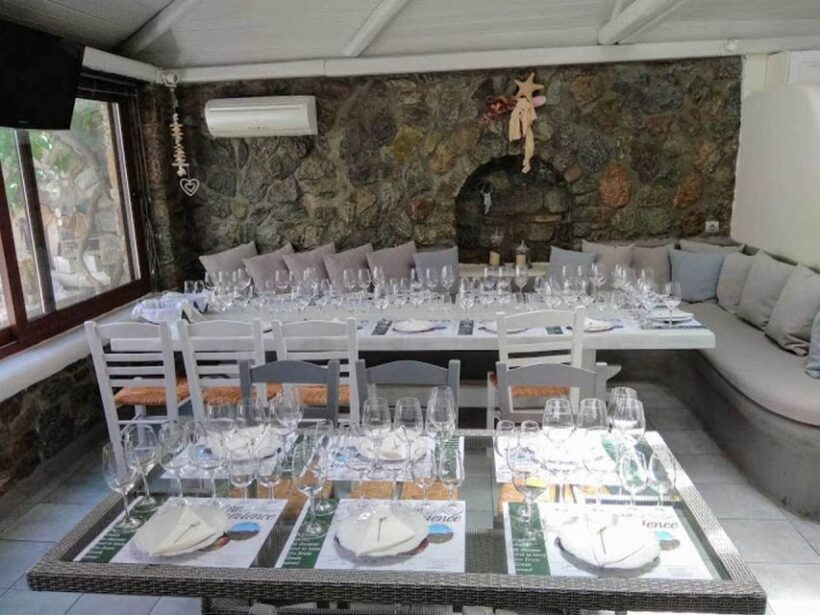 Mykonos: Half-Day Wine Tasting and Snack at a Local House - Is It Worth the Price?