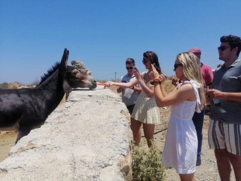 Mykonos: Highlights Tour with Panagia Tourliani Monastery - Starting in the Old Town and Whitewashed Streets