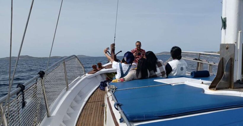 Mykonos: Little Venice and Agios Stefanos Cruise with Lunch - A Closer Look at the Experience