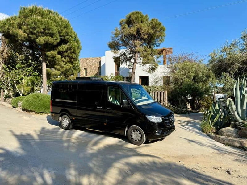 Mykonos Private 4 Hours Van & Walk - Free Port Pick-up - Additional Practical Tips