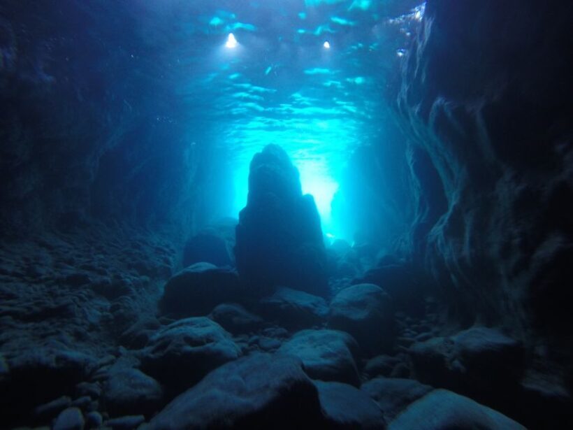 Mykonos: Private Boat Trip and Snorkeling Sea Safari - Key Points