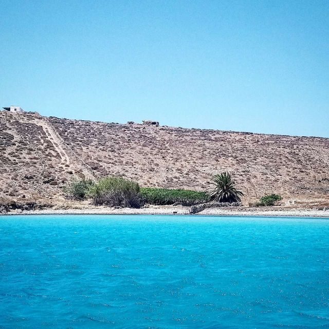 Mykonos: Private Delos and Rhenia 6hrs Cruise with Lunch - The Experience: What Makes it Special