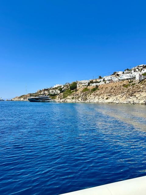 Mykonos: private half-day cruise south beaches of Mykonos - Who Will Love This Tour?
