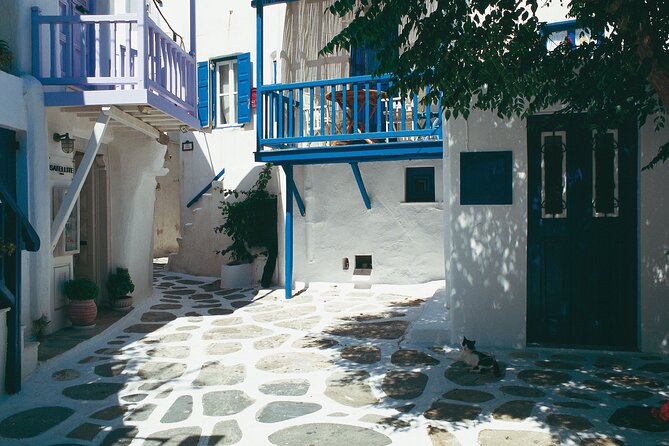 Mykonos Private Island Tour - The Sum Up