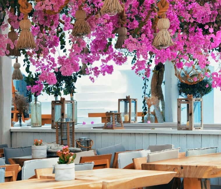 Mykonos: Private Island Tour with Transfers and Greek Meal - Key Points