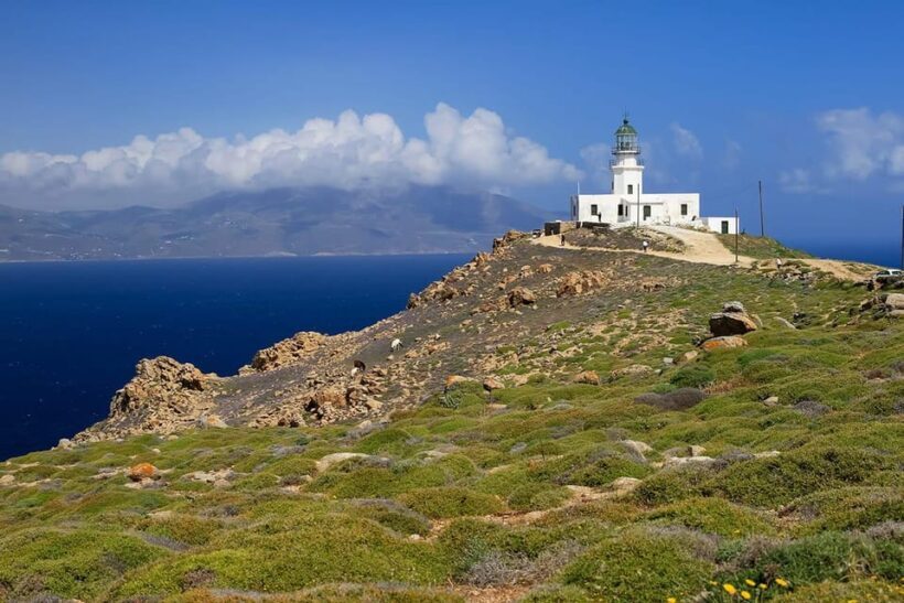 Mykonos: Private Tour Island With A Local - Who Will Love This Tour?