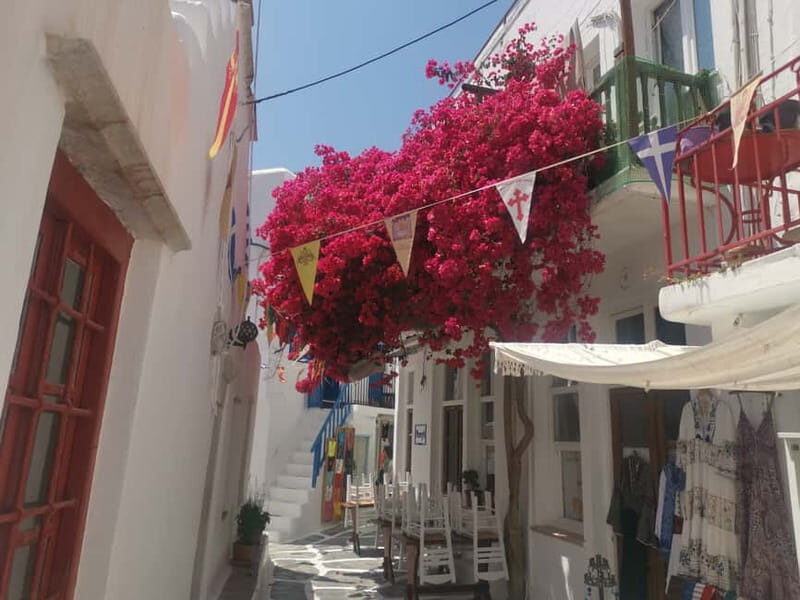 Mykonos: Private Tour with Range Rover - FAQ
